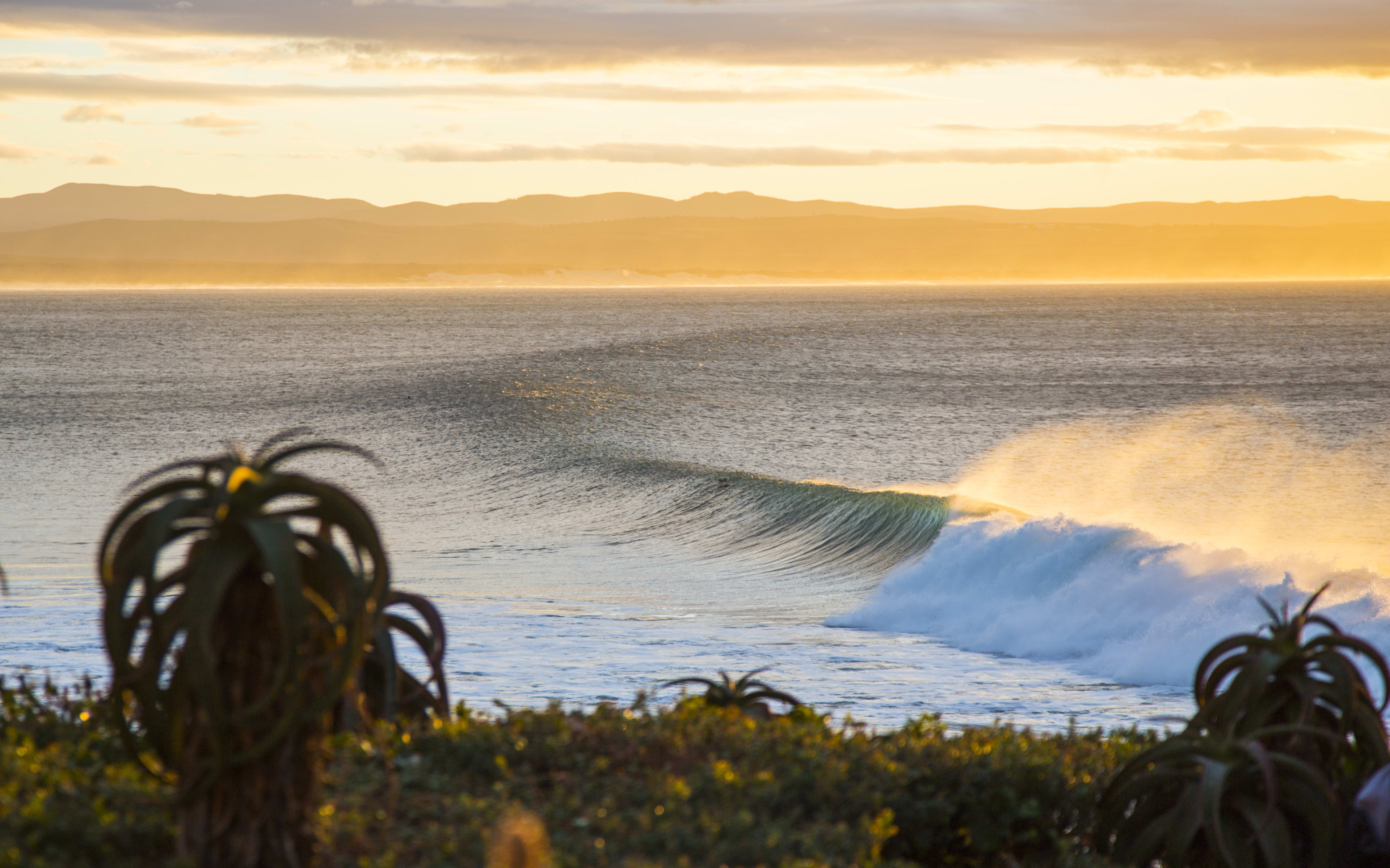 Snapper Rocks, Jeffreys Bay, & The Championship Tour in 2025