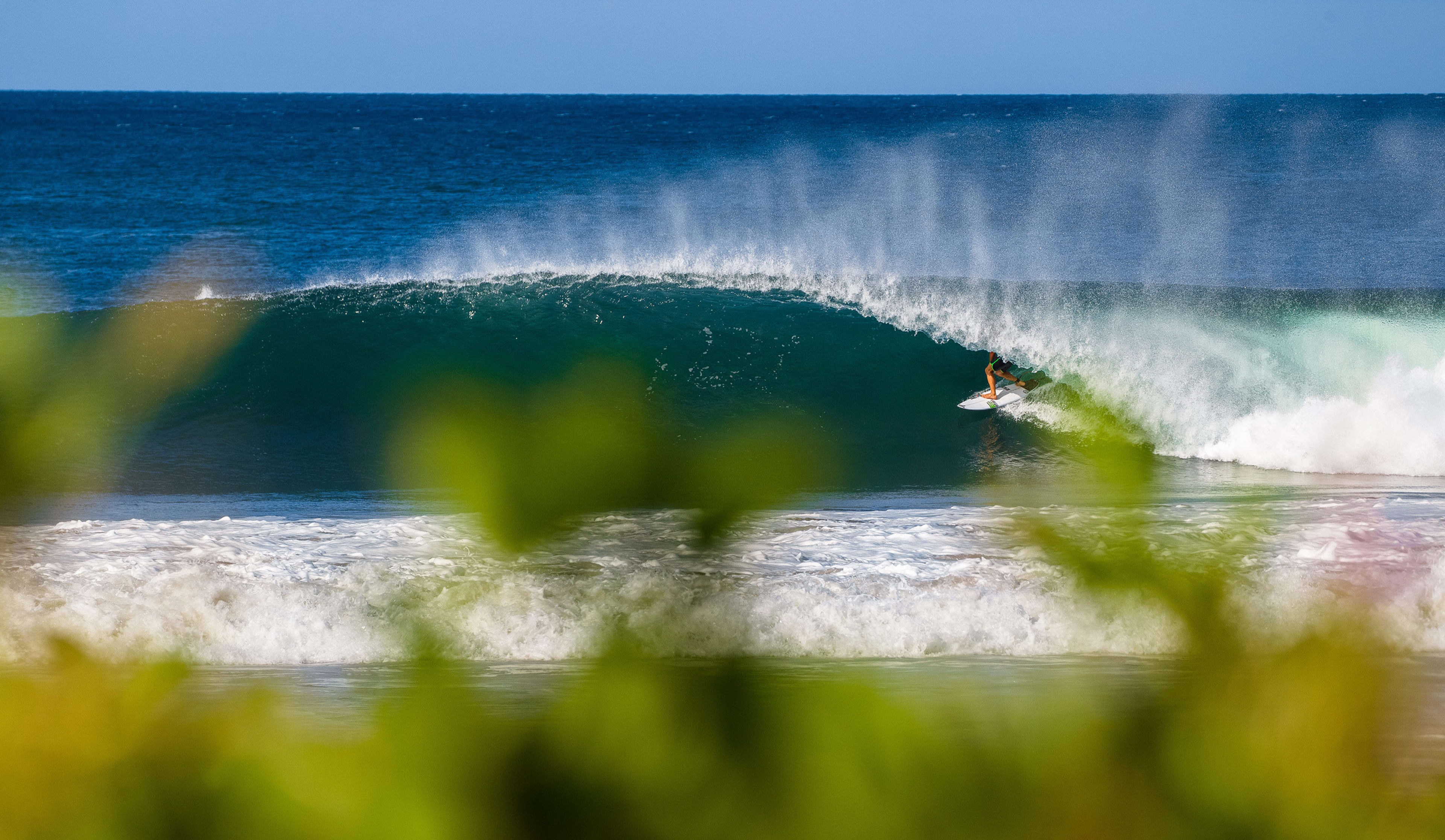 Ex-WSL Surfer Conner Coffin Has No Idea What He's Doing Next