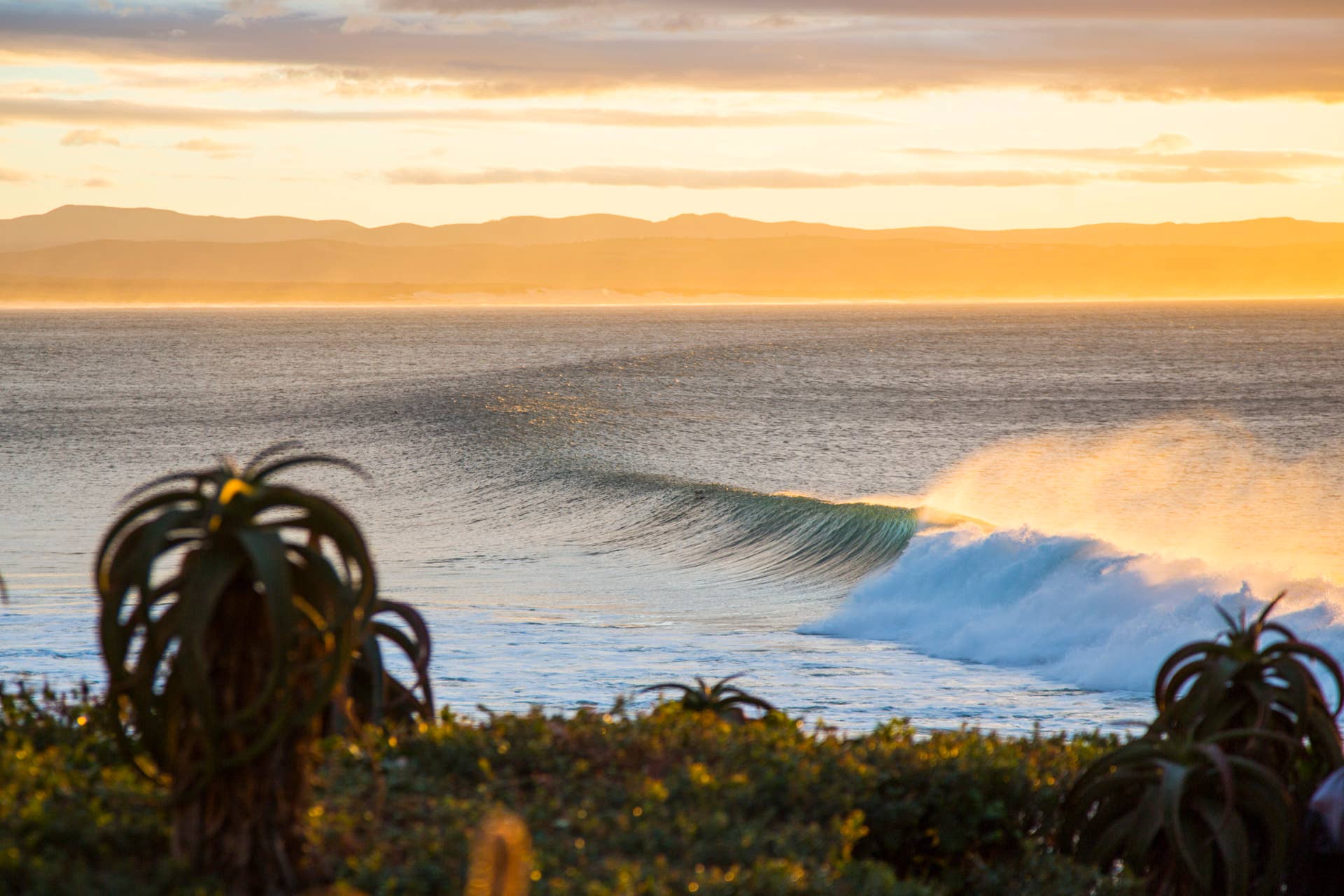 Snapper Rocks, Jeffreys Bay, & The Championship Tour in 2025