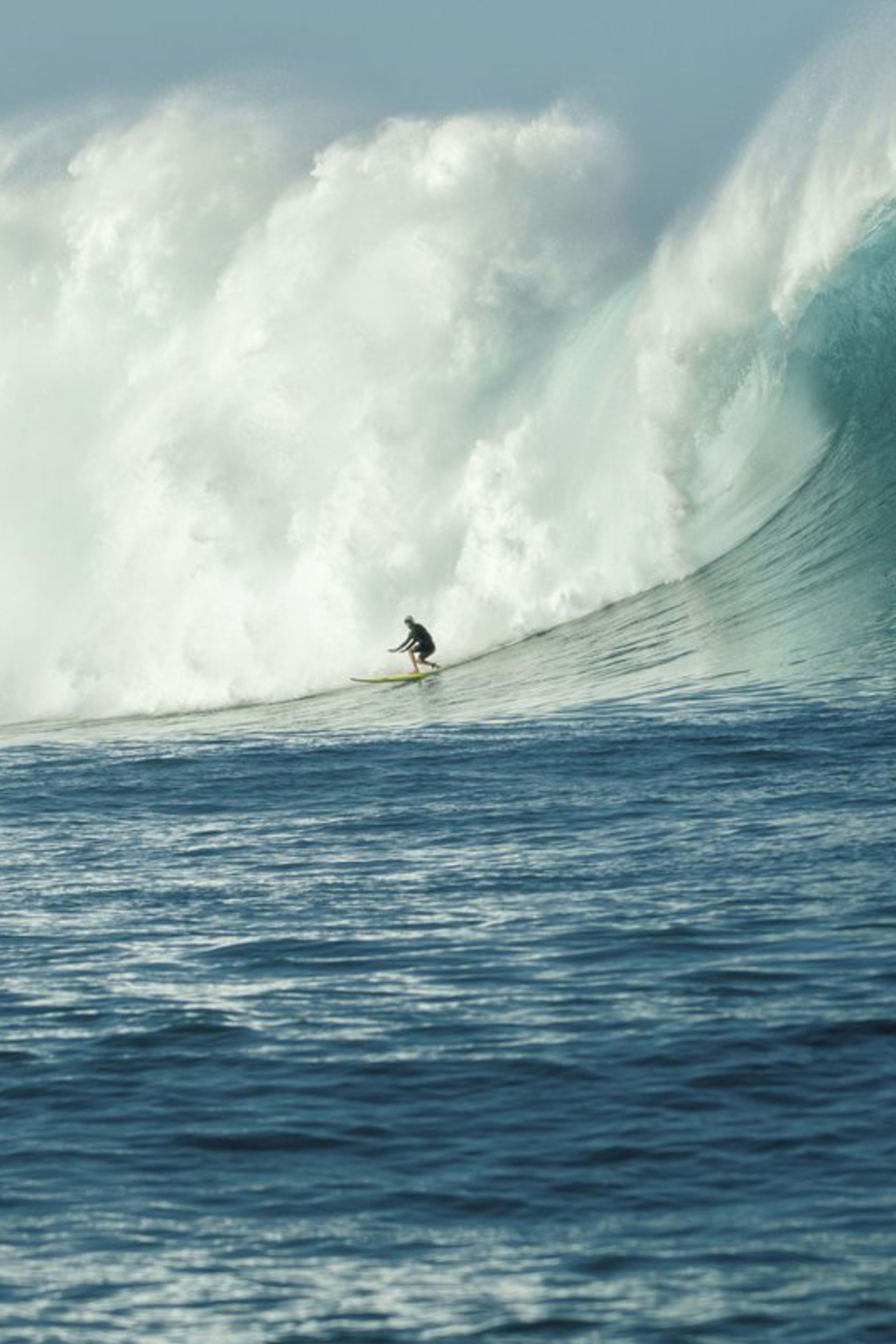 SURFER Magazine History, Iconic Moments, and More
