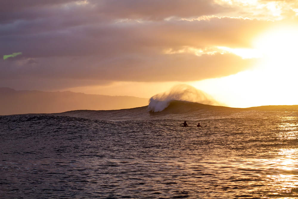 The Rothmans: Hawaii's Most Notorious Surf Family - Surfer