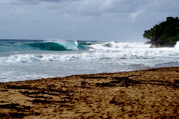 Morgan Maassen | Puerto Rico - Surfer