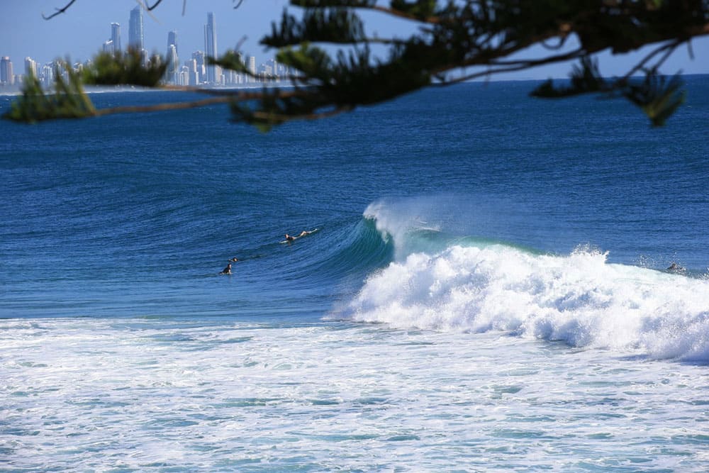 Snapper in the Spotlight | SURFER Magazine