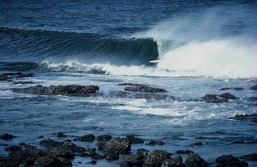 Moving Art: Ryan Burch And His Psychic Migration Twin Fin - Watch the ...