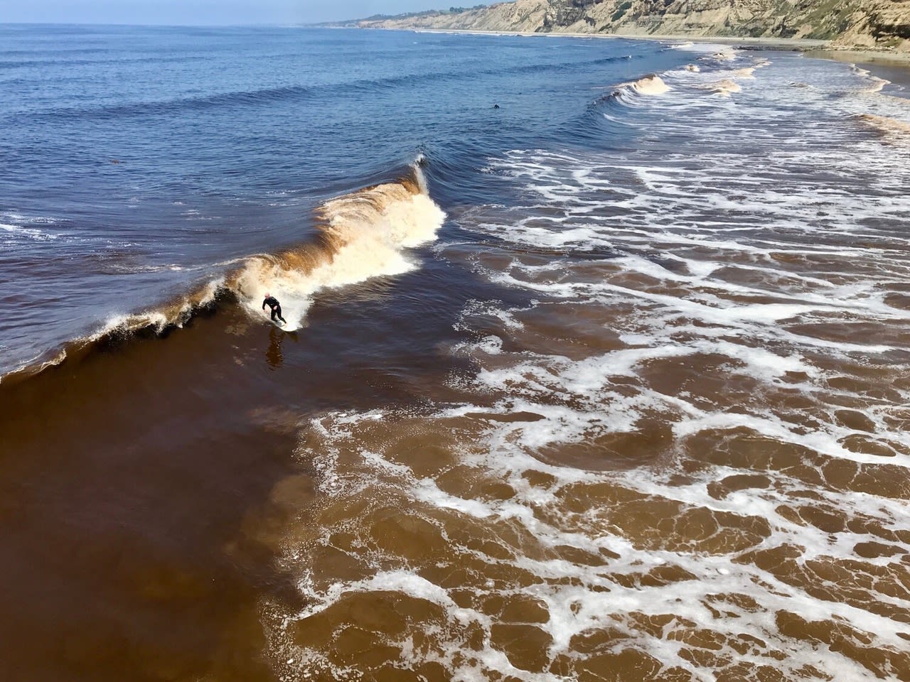 Southern California Red Tides Are Getting Worse, New Scripps Study ...