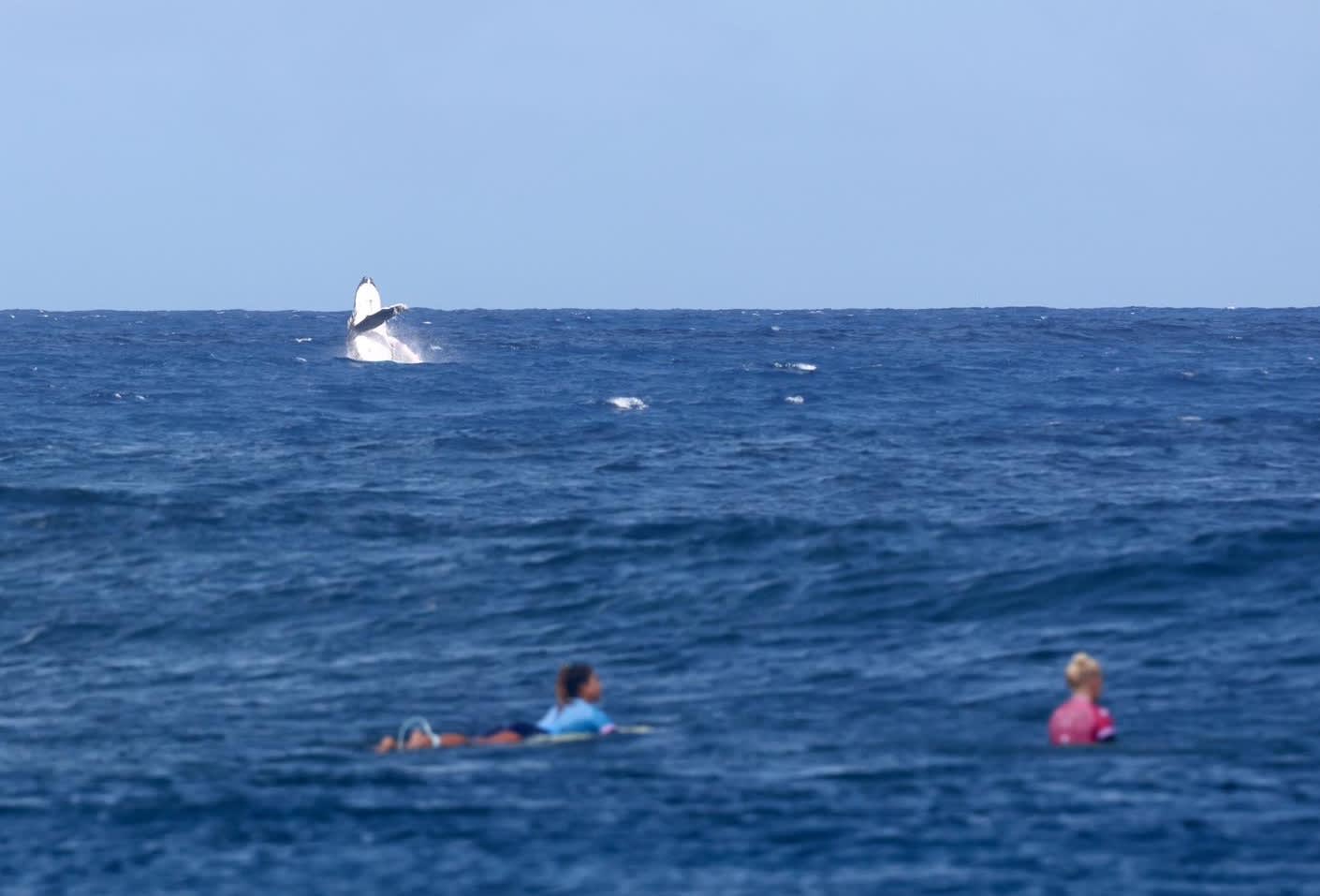 Gallery: Intimate Moments from Surfing’s Historic Paris 2024 Olympics ...